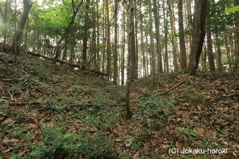 備前 細田城の写真集 城郭放浪記