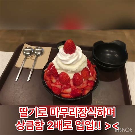 딸기와 요거트아이스크림의 환상조화~ 순수요거생딸기설빙 Youtube