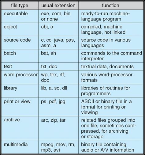 Chapter 13 File System Interface