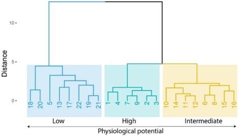 Dendrogram Of The Euclidean Distance Of 22 Soybean Seed Lots Showing Download Scientific