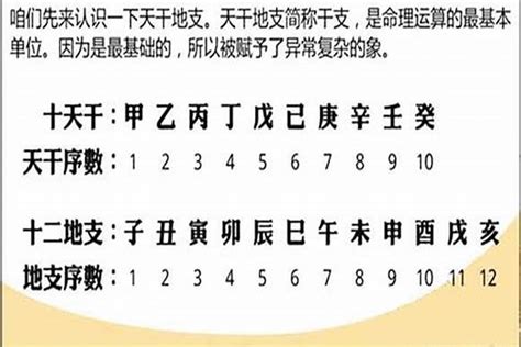 批八字首先需要掌握哪些知识和技能？批八字的十个步骤分别是什么 八字 若朴堂文化