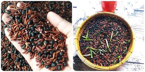 Công Dụng Uống Nước Gạo Lứt Đỗ Đen Hiệu Quả Và Lợi Ích