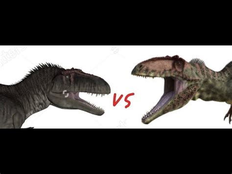 Tyrannotitan Vs Giganotosaurus Youtube