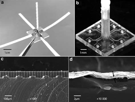 Fabrication Result Of Artificial Whisker Sensor A Overall Appearance Download Scientific
