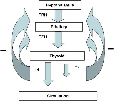 References In Hypothyroidism Emergency Medicine Clinics