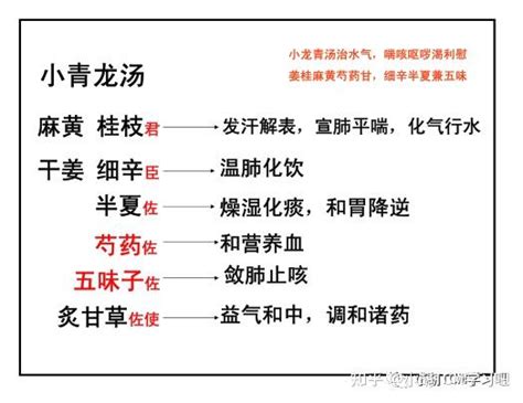 方剂学小青龙汤九味羌活汤 知乎