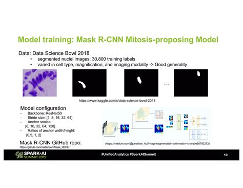 A Distributed Deep Learning Approach For The Mitosis Detection From Big