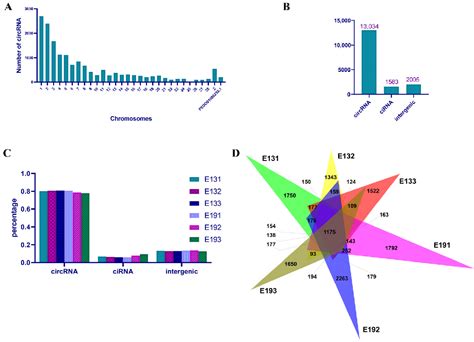 Figure 1 From Transcriptome Rna Sequencing Reveals That Circular Rnas Are Abundantly Expressed