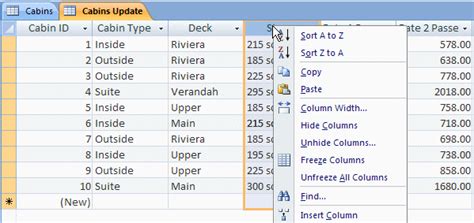 Microsoft Access Topics The Records Of A Database
