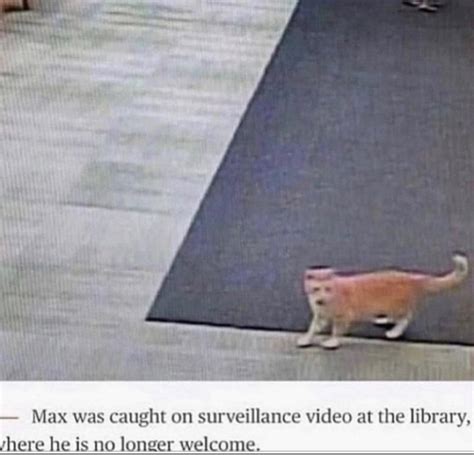 What Did Bro Do Rcoolpictures1