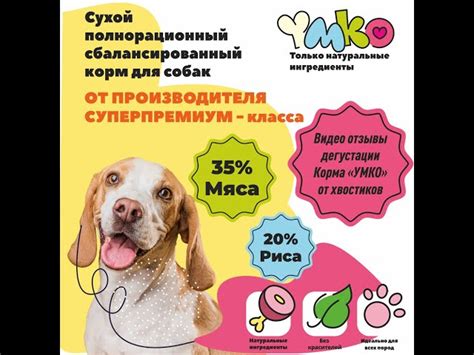 Производитель сухого корма «YMKO» — производство и продажа оптом ...