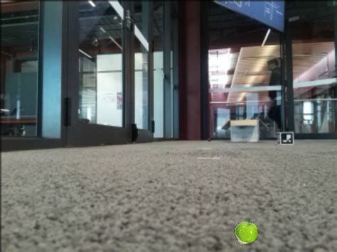 real life fruits labelled object detection dataset by ecce4078 group 1