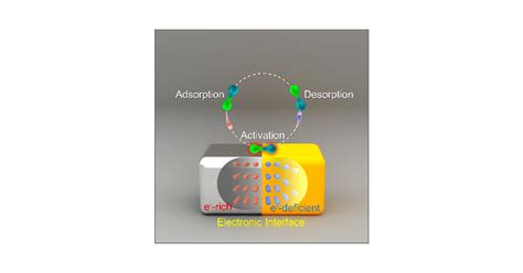 Design Of The Synergistic Rectifying Interfaces In Mottschottky