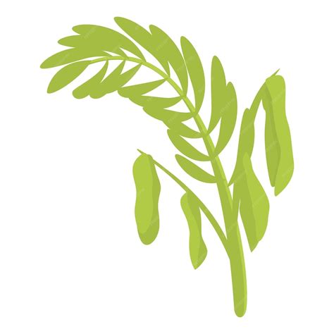 Premium Vector Lentil Plant Icon Cartoon Vector Bean Lentil Plant Vegetable Seed Stem