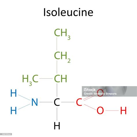 The Chemical Structure Of Isoleucine Stock Illustration Download Image Now Acid Amino Acid