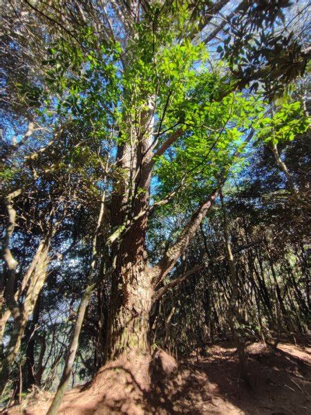 高島縱走 健行筆記