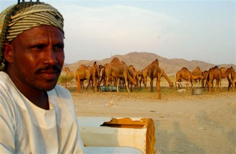 Deve İsimleri Tozlu Mikrofon