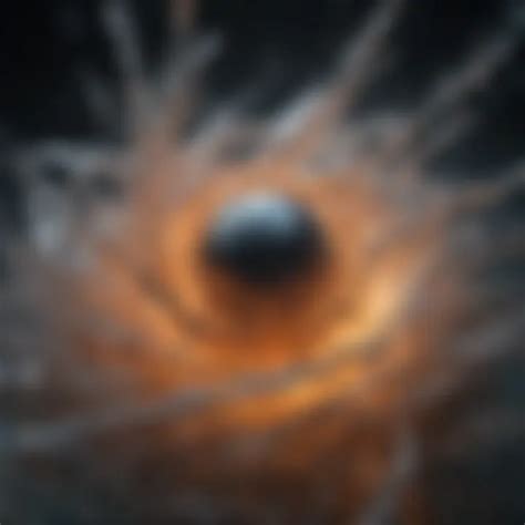 Exploring Vortex Representations In Fluid Dynamics