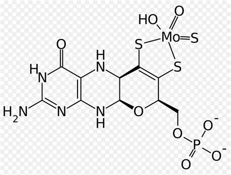 酪氨酸羟化酶化学有机化合物 xo xoPNG图片素材下载 图片编号3540013 PNG素材网