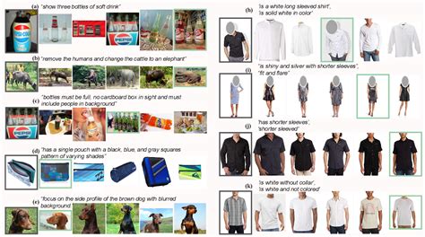Figure 1 From Bi Directional Training For Composed Image Retrieval Via Text Prompt Learning