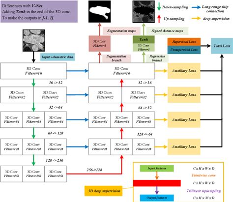 figure 2 from semi supervised 3d medical image segmentation using shape guided dual consistency