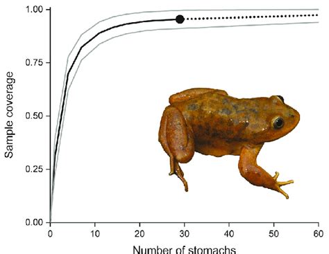 Coverage Based Rarefaction Solid Line And Extrapolation Dotted Line Download Scientific