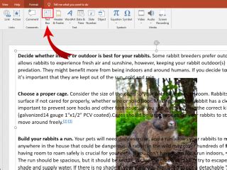 How To Wrap Text In PowerPoint