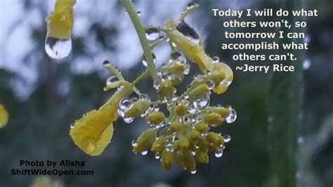 Jerry Rice Today Jerry Rice Favorite Quotes Quotes