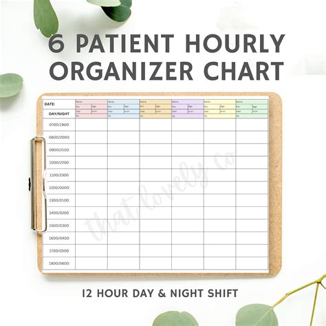 6 Patient Hourly Organizer And Vitals Chart Nurse Chart Nurse Report