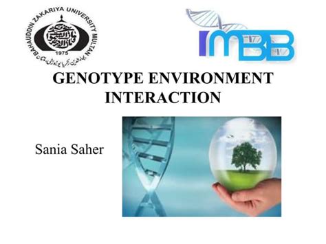 Genotype Environment Interaction Pptx