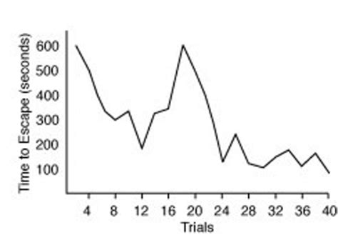 Lecture 1 Tools Flashcards Quizlet