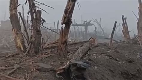 Видео с последствиями баталий в Крынках