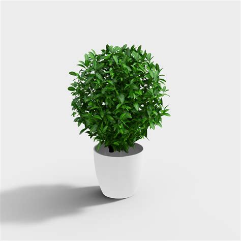 现代医院大厅 装饰植物 43d模型下载绿植3d模型下载免费3dmax模型库 酷家乐