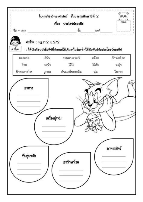 ใบงานวิ สื่อวิทยาศาสตร์เพื่อการเรียนรู้ By Krunuch Nusara