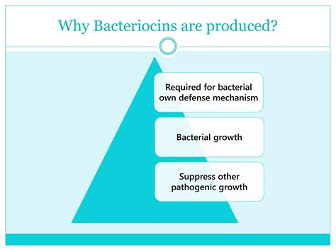 Bacteriocins From Lactic Acid Bacteria Ppt