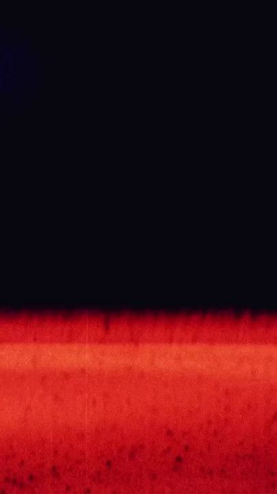 Hannah Kavin Posted On Linkedin