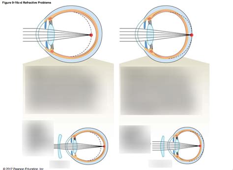 Diagram Of Figure 9 16 Quizlet
