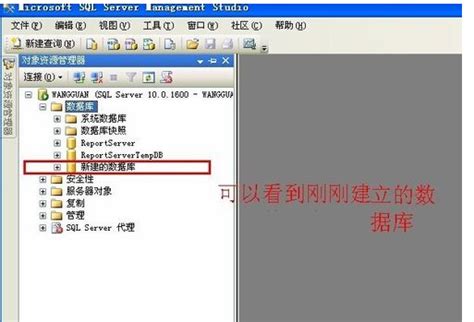 Microsoft Sql Server 2018官方最新版v2018 下载 近期microsoft Sql Server 2018历史版本