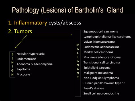 Bartholin Gland Cyst Pptx
