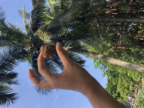 Vb中integer(整型)和long(长整型)有什么区别百度知道 Vb中integer(整型)和long(长整型)有什么区别百度知道