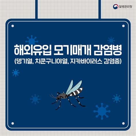 해외유입 모기매개 감염병 뎅기열 치쿤구니야열 지카바이러스 감염증 개요 카드뉴스 홍보자료 알림·자료 질병관리청