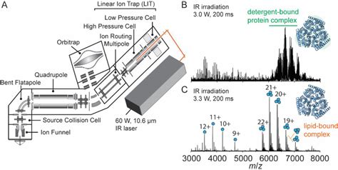 Figure 1 From Infrared Multiphoton Dissociation Enables Top Down