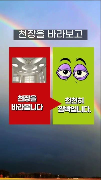 지금 무지개 볼 수 있는 최적의 기회입니다 Shorts Youtube