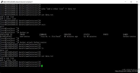 Docker入门到实践(四)docker容器数据卷与数据卷容器 掘金 Docker入门到实践(四)docker容器数据卷与数据卷容器 掘金