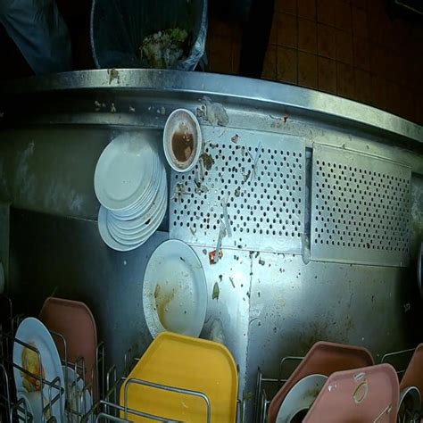 Food Waste Object Detection Yolo Object Detection Dataset And Pre