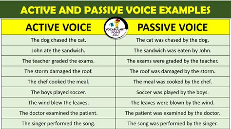 120 Active Voice And Passive Voice Examples Vocabulary Point