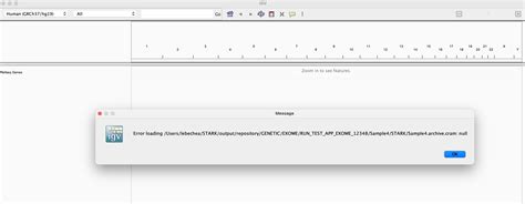 Loading Cram Files Failed With Release 2 16 0 · Issue 1286 · Igvteam Igv · Github