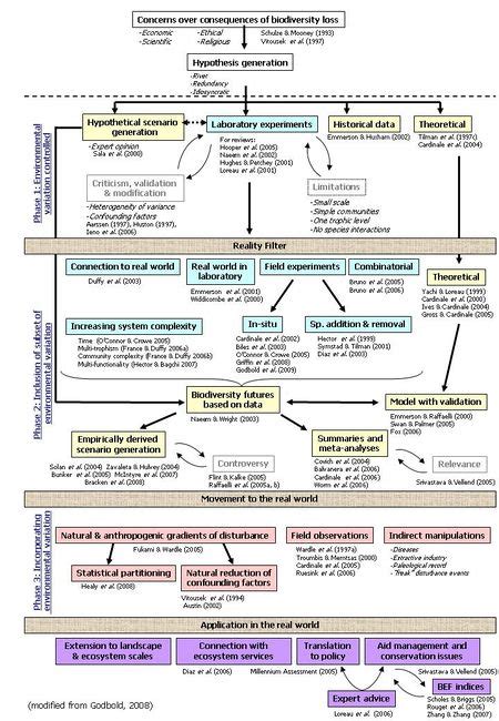 A Review Of Biodiversity Ecosystem Function Research Coastal Wiki