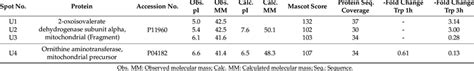 Protein Identification By Peptide Mass Fingerprinting Using Maldi Tof Ms Download Scientific