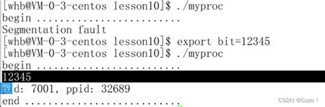 linux—进程 pcb 状态 孤儿进程 环境变量 0801 4 linux pcb csdn博客